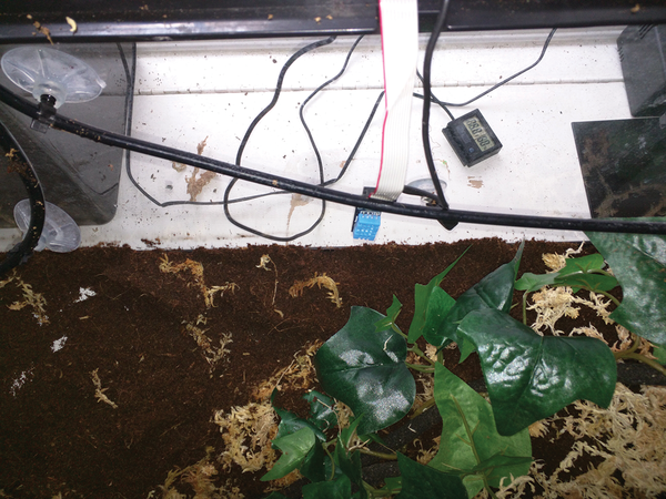 Temperature/Humidity Sensor » Raspberry Pi Geek